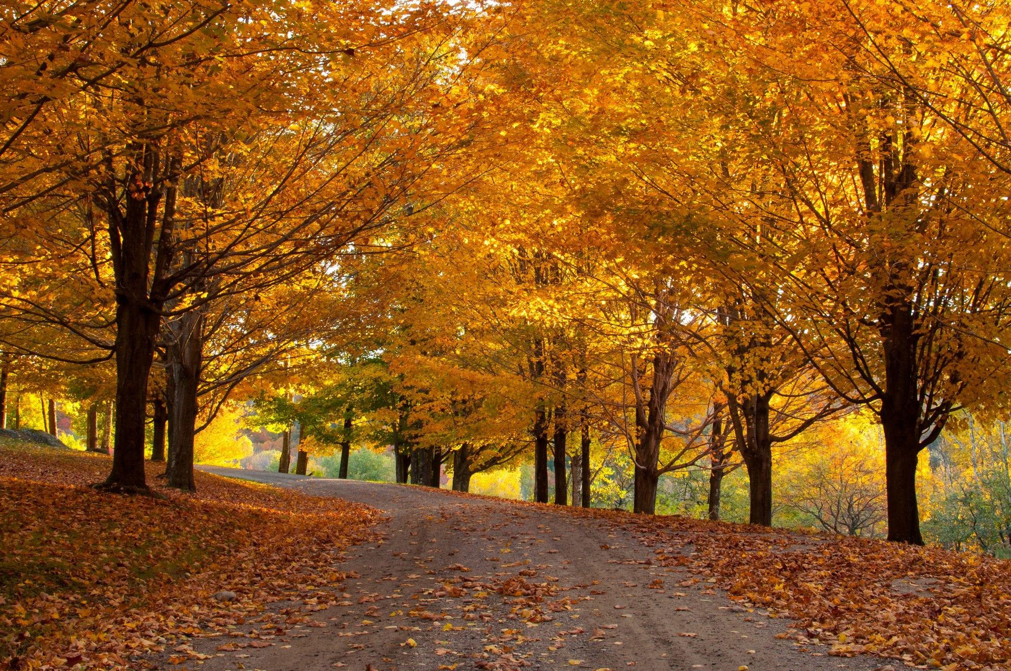 6 Vermont Scenic Drives for Your Fall Bucket List | Go Stowe