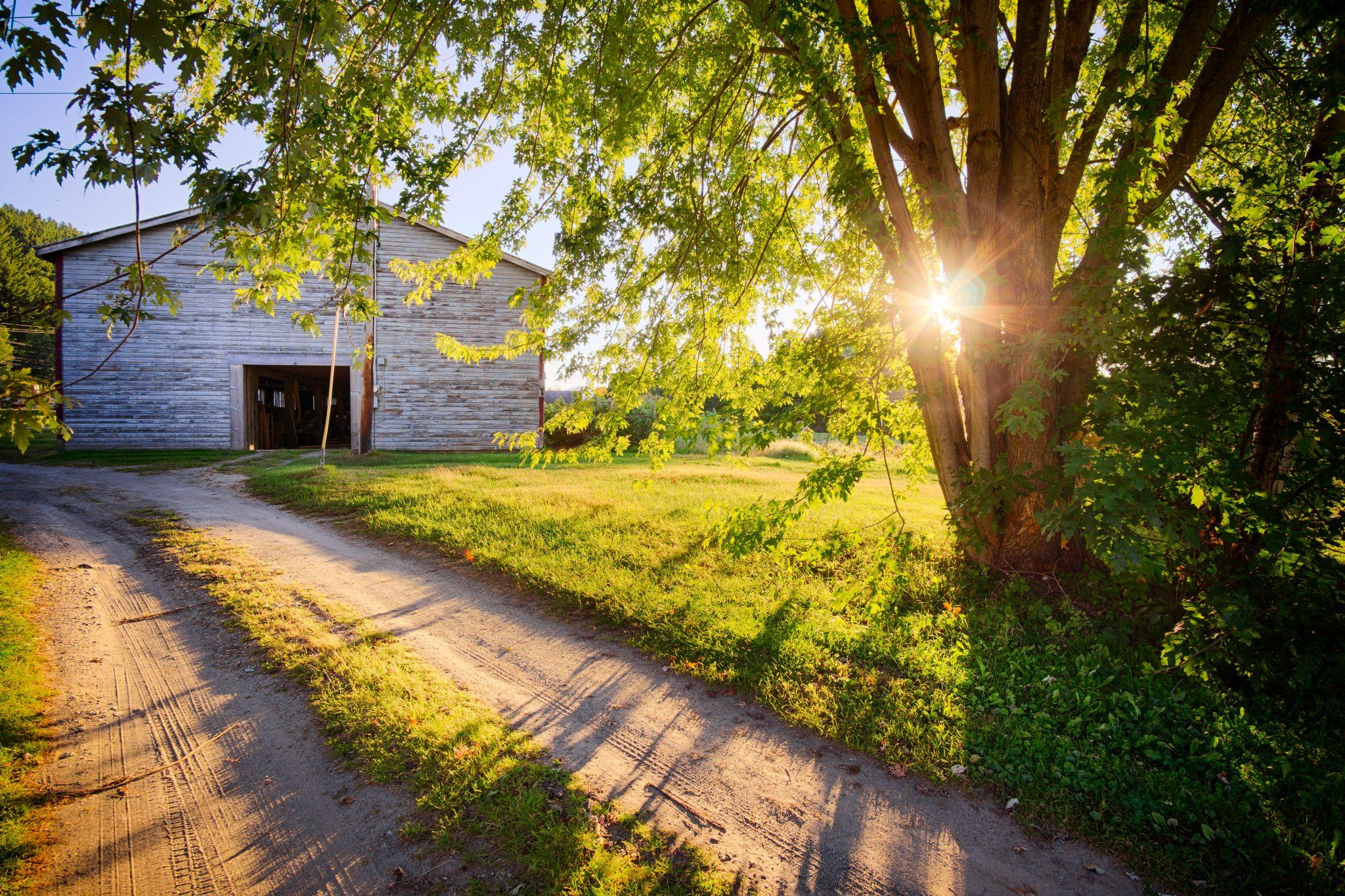 7 Ways to Explore Stowe on a Guided Tour | Go Stowe