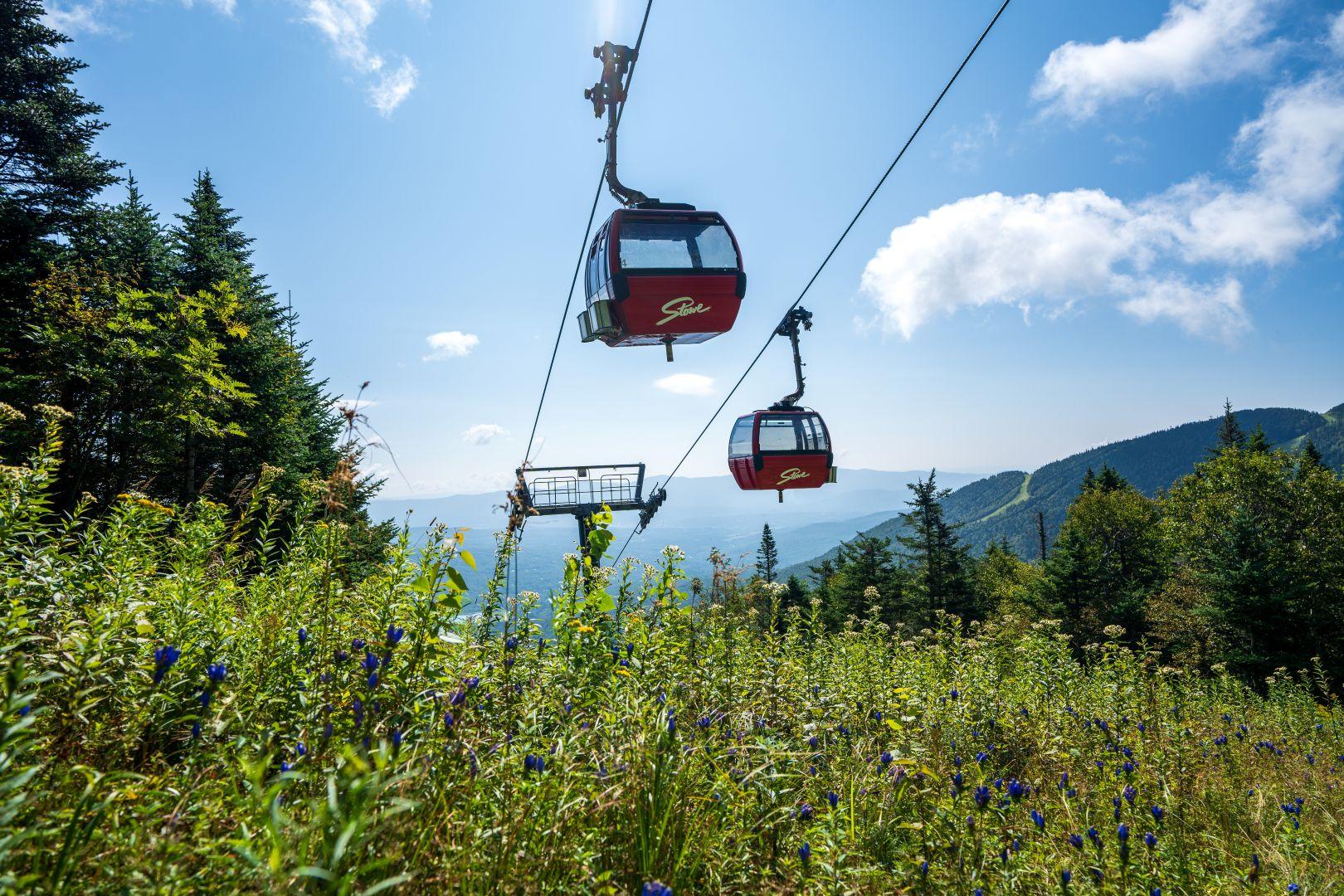 Things to do this month | Go Stowe